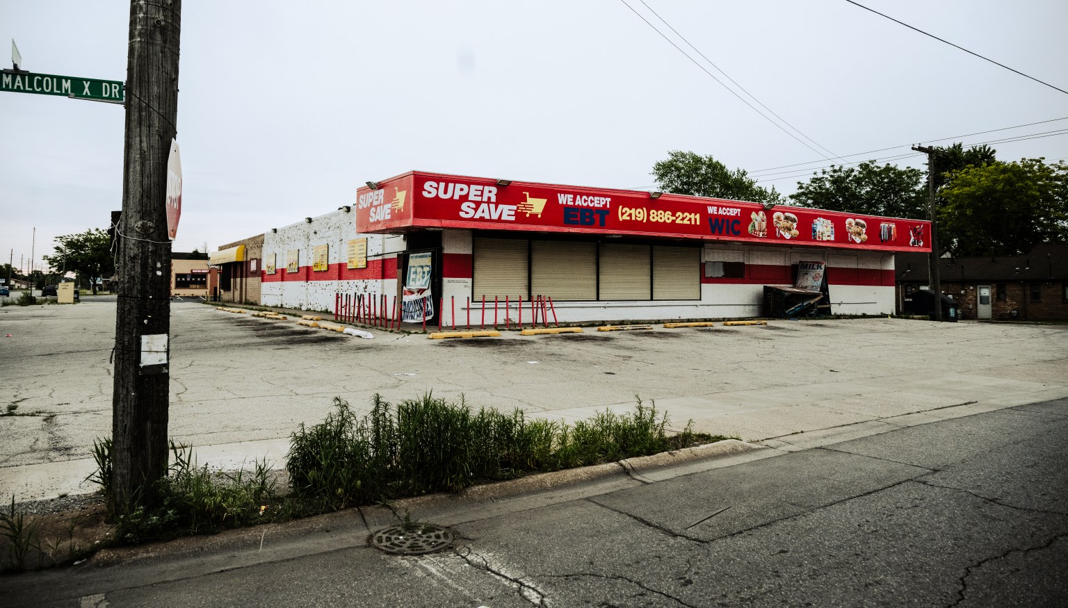 Planting Hope: Gary’s Urban Gardens Foster Community and Healing ...