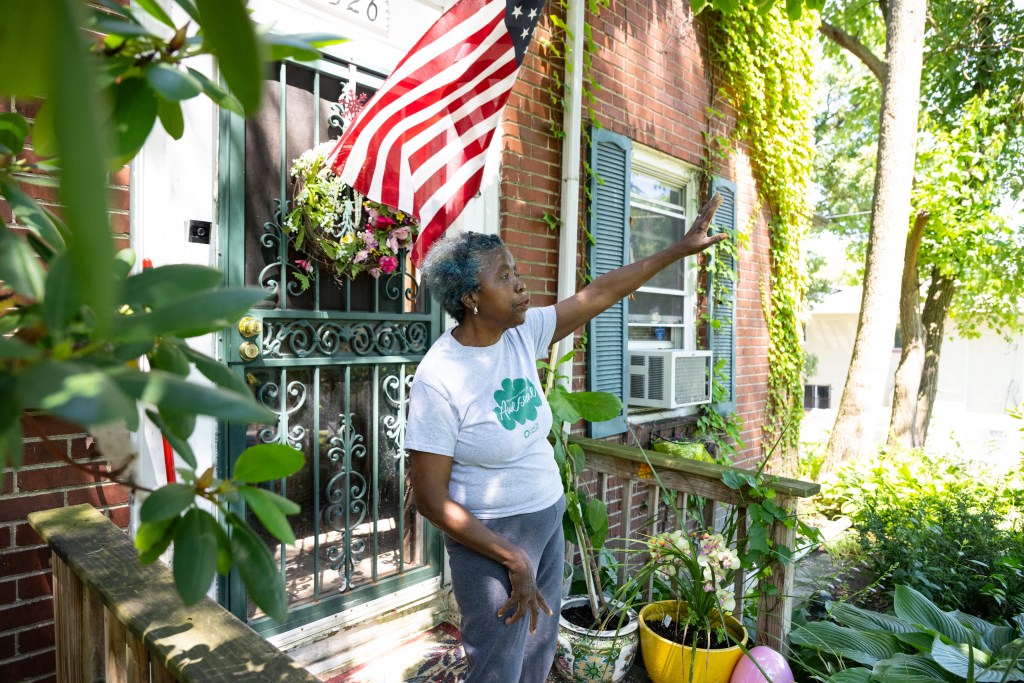 Gary Homeowner Needs Help Saving Her House From Hazardous Trees